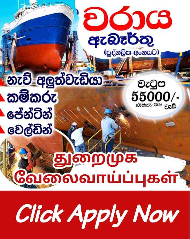 APPLICATION INFO