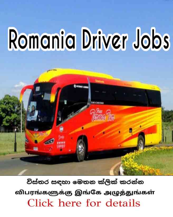 APPLICATION INFO